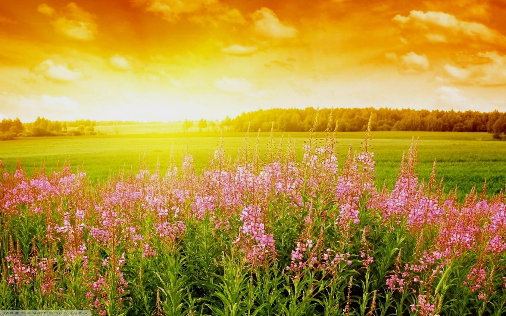 Beautiful Summer Day Wallpapers - Wallpaper Cave