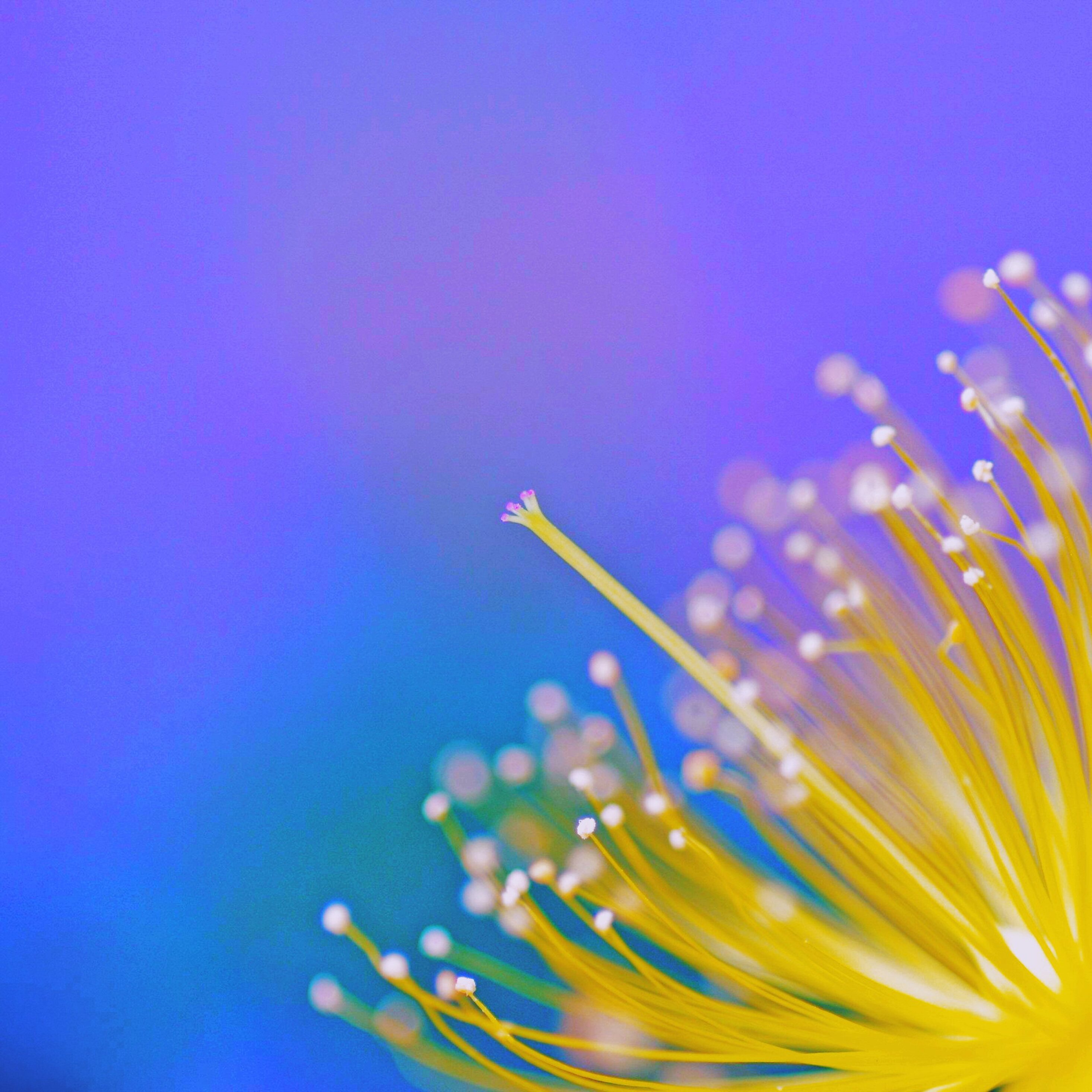 Spring iPad 4k Wallpapers - Wallpaper Cave