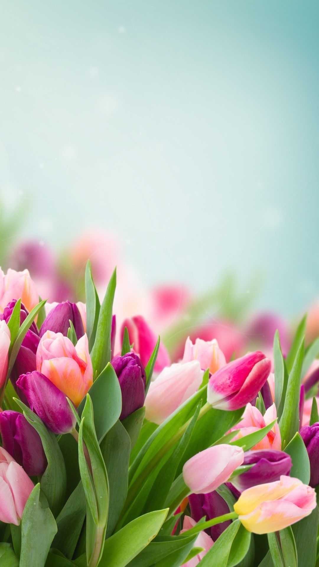 Spring iPad 4k Wallpapers - Wallpaper Cave