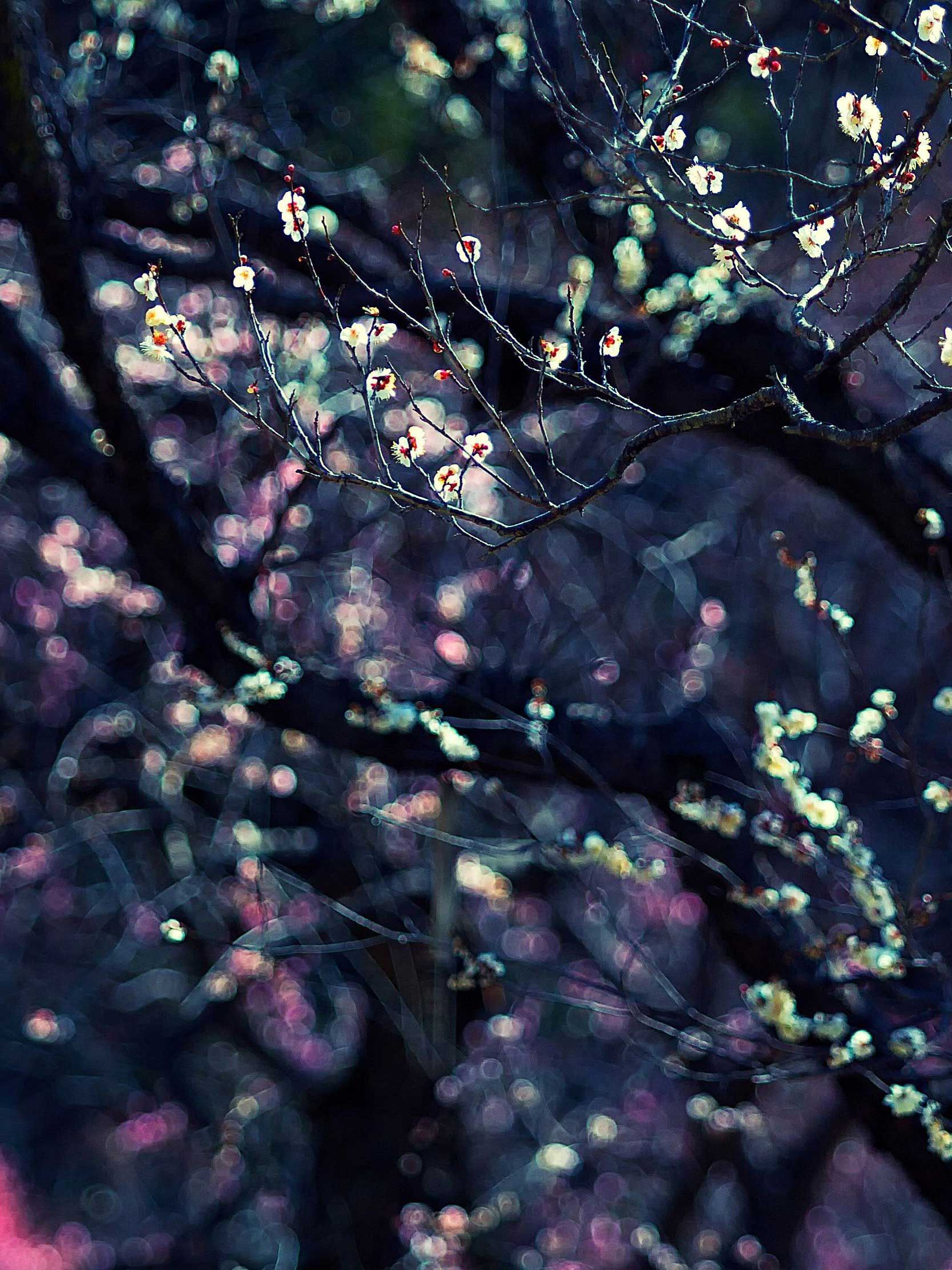 Spring iPad 4k Wallpapers - Wallpaper Cave