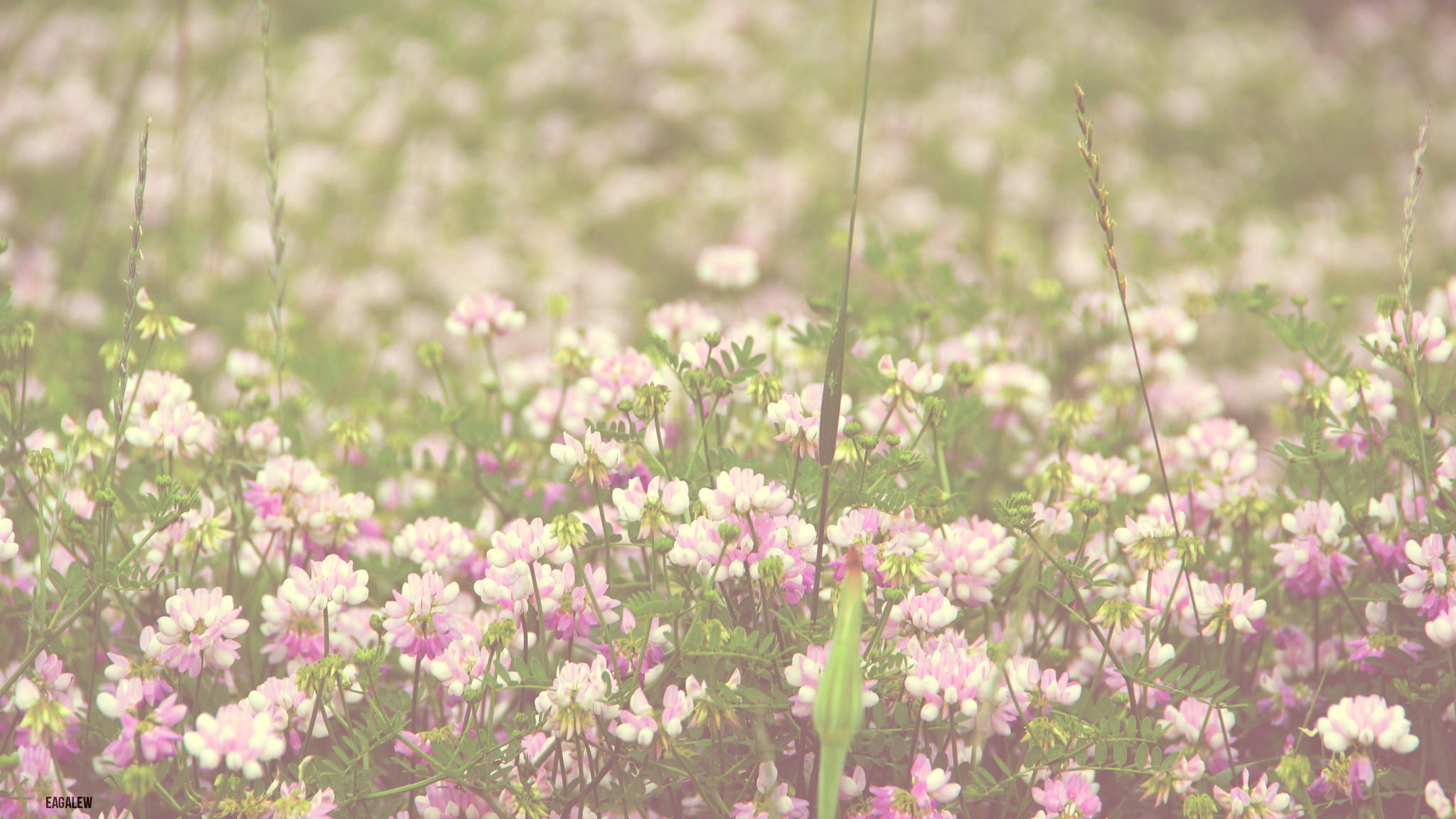 Spring Vintage Desktop Wallpapers - Wallpaper Cave