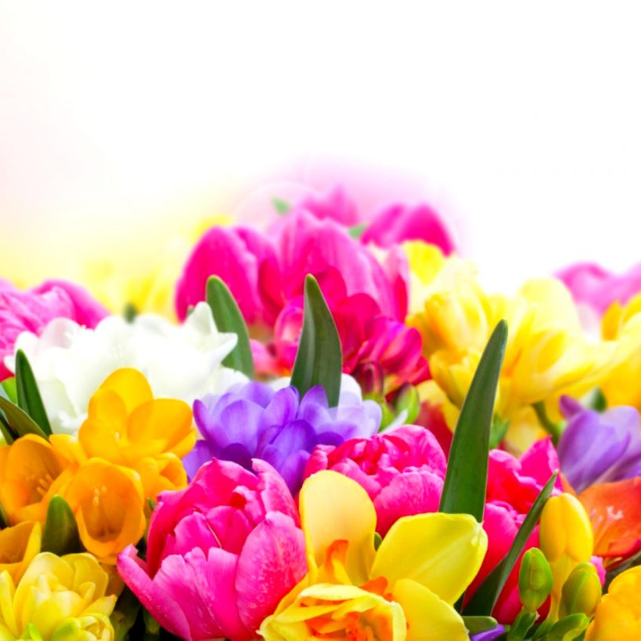 Spring iPad 4k Wallpapers - Wallpaper Cave