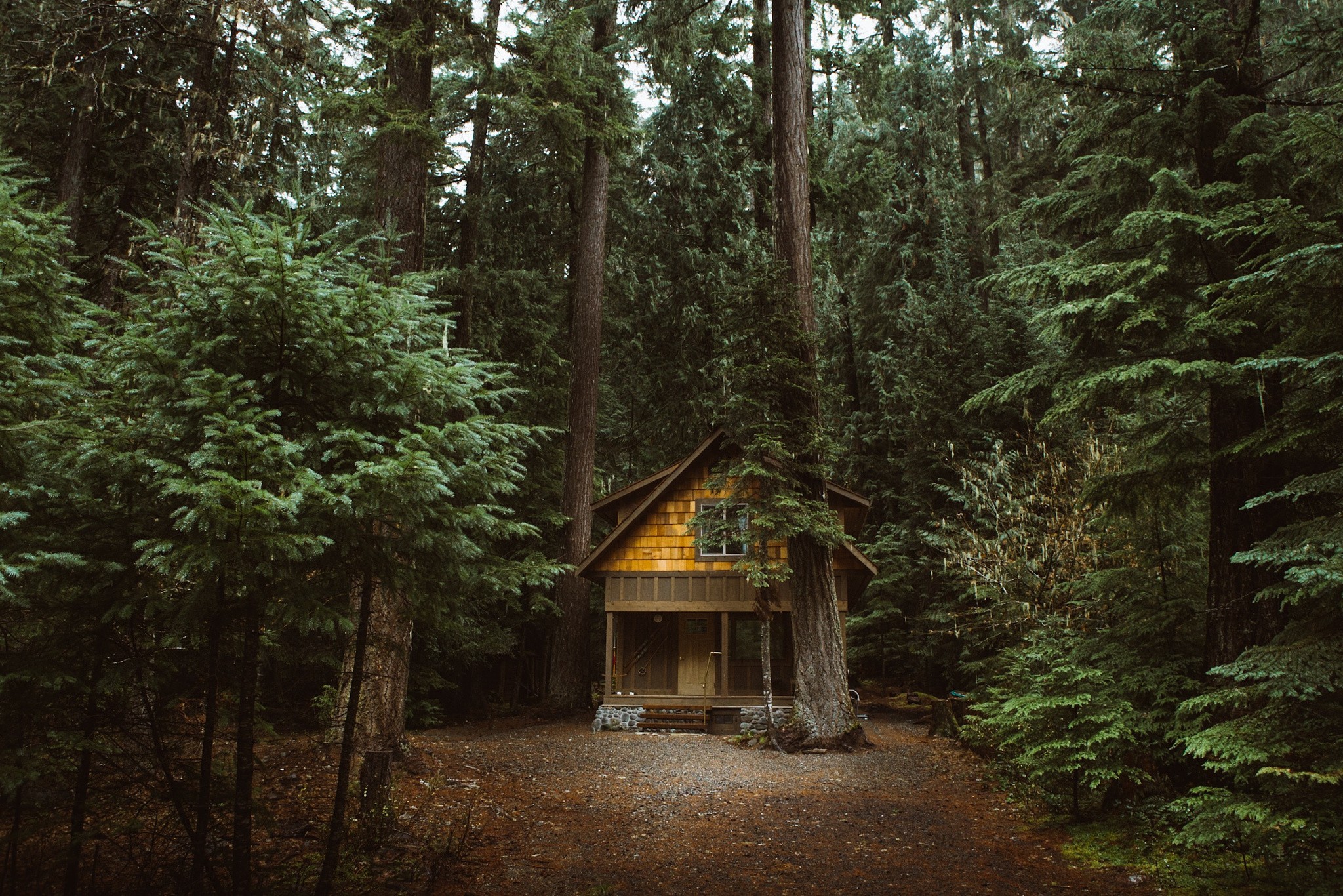 Spring Forest Cabin Wallpapers - Wallpaper Cave