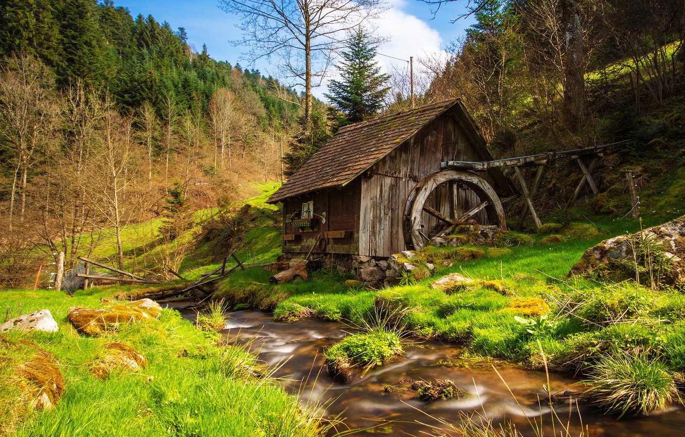 Spring Forest Cabin Wallpapers - Wallpaper Cave