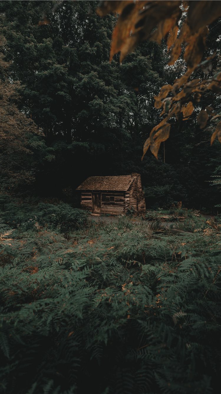 Spring Forest Cabin Wallpapers - Wallpaper Cave