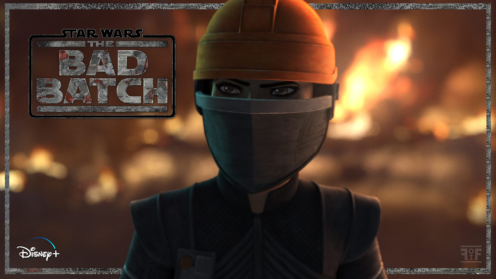 Fennec Shand Wallpapers - Wallpaper Cave