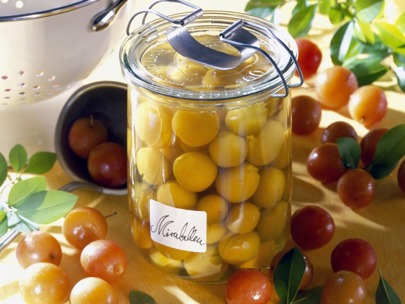 Mirabelle Plum Wallpapers - Wallpaper Cave