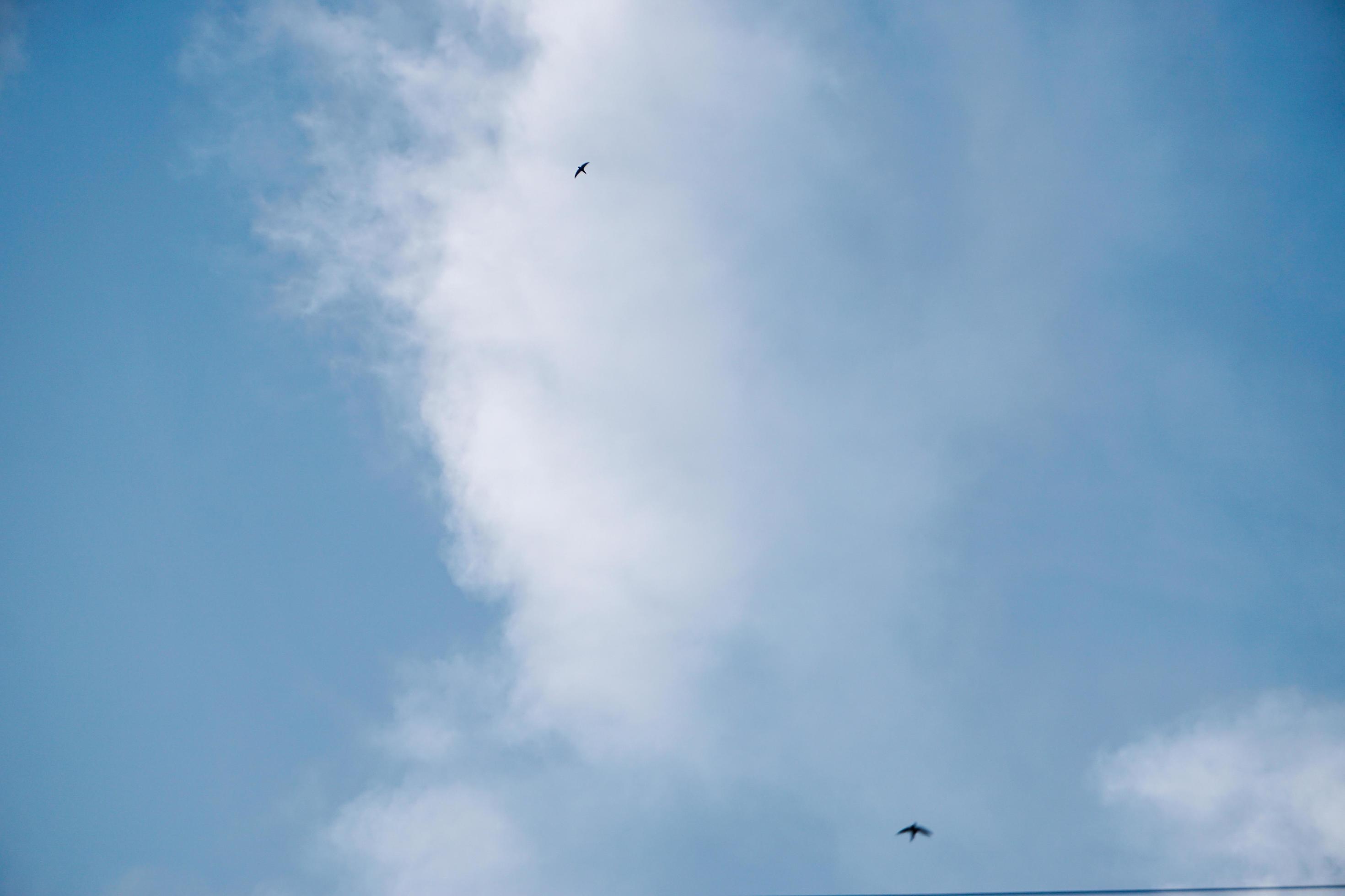 Light Theme Portrait Wallpapers - Wallpaper Cave