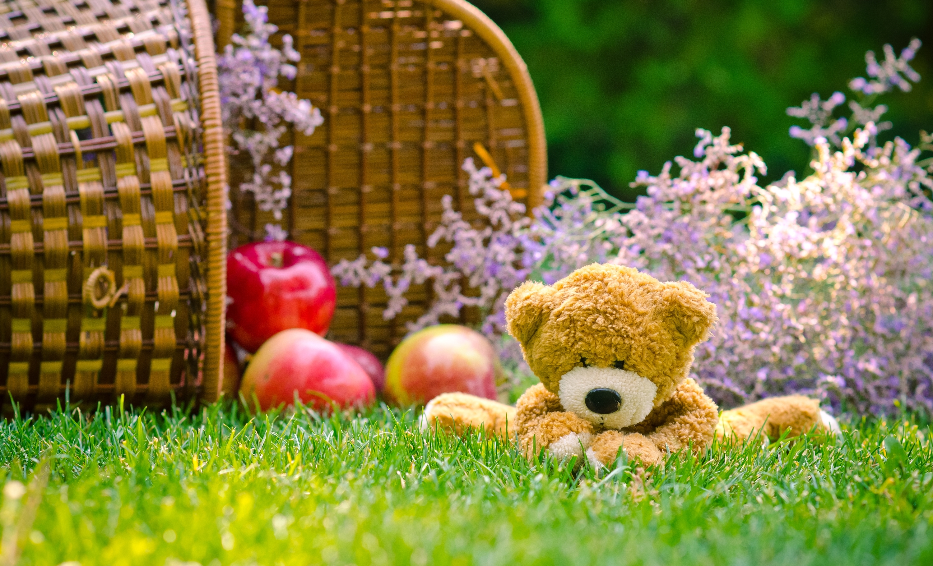 Teddy Bear Spring Wallpapers - Wallpaper Cave