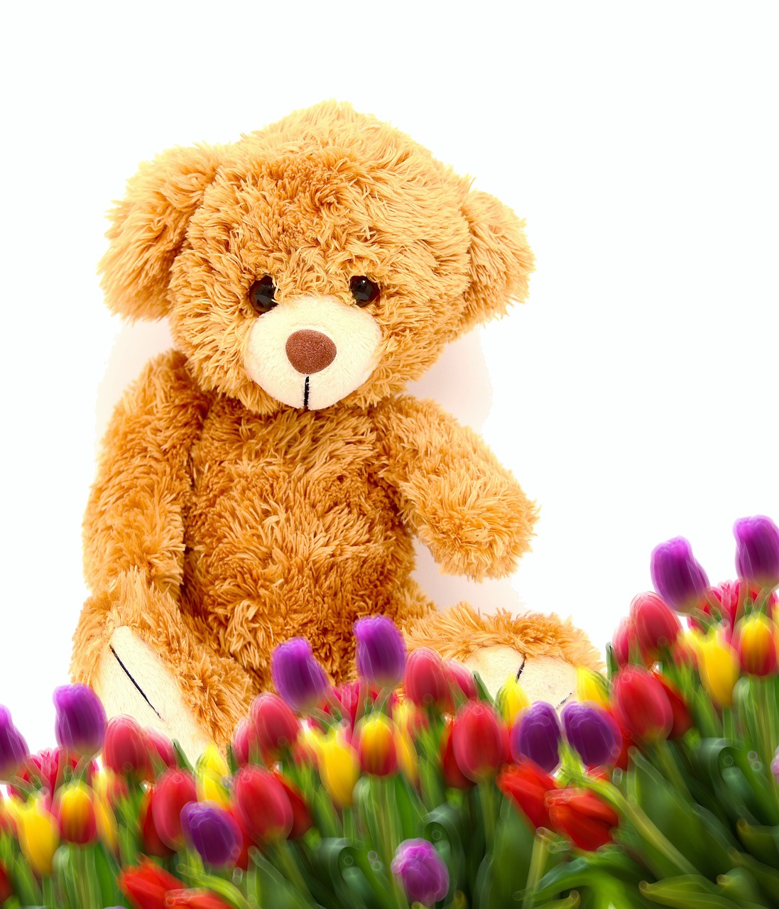 Teddy Bear Spring Wallpapers - Wallpaper Cave