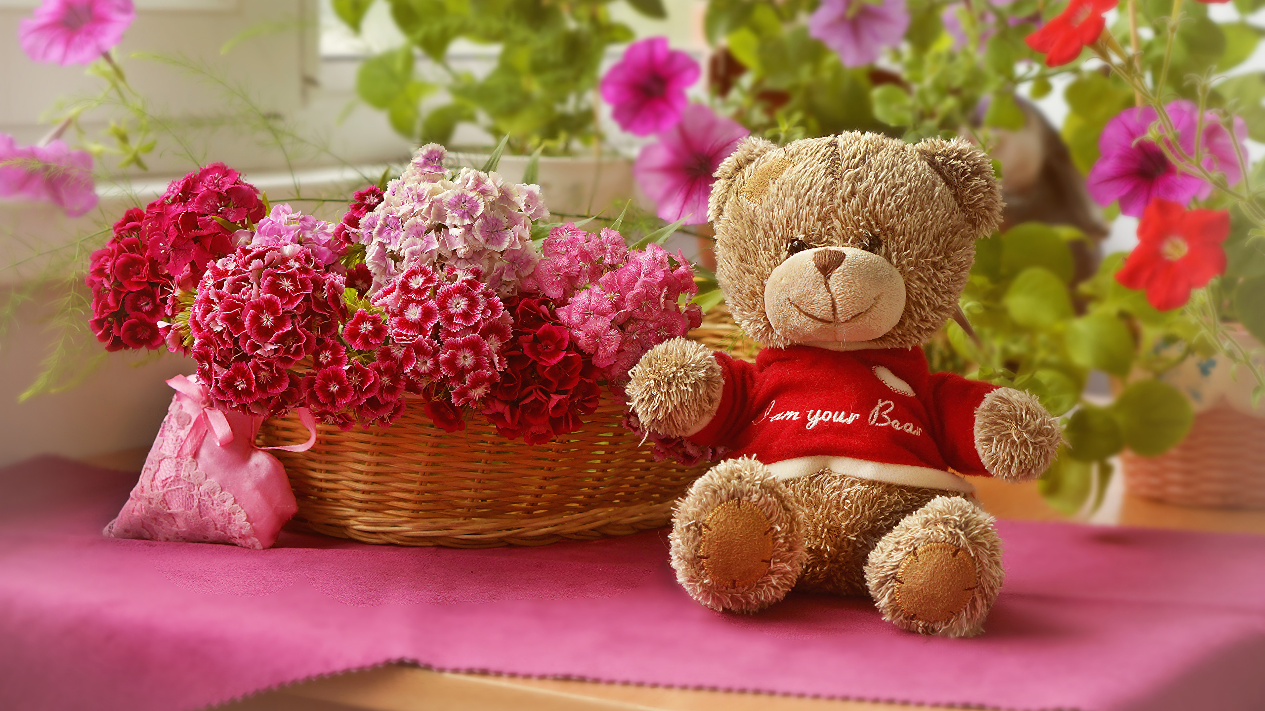 Teddy Bear Spring Wallpapers - Wallpaper Cave