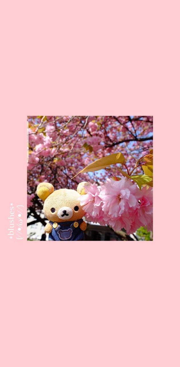 Teddy Bear Spring Wallpapers - Wallpaper Cave