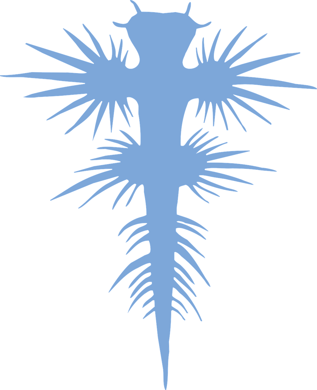 Blue Glaucus Animal Wallpapers - Wallpaper Cave