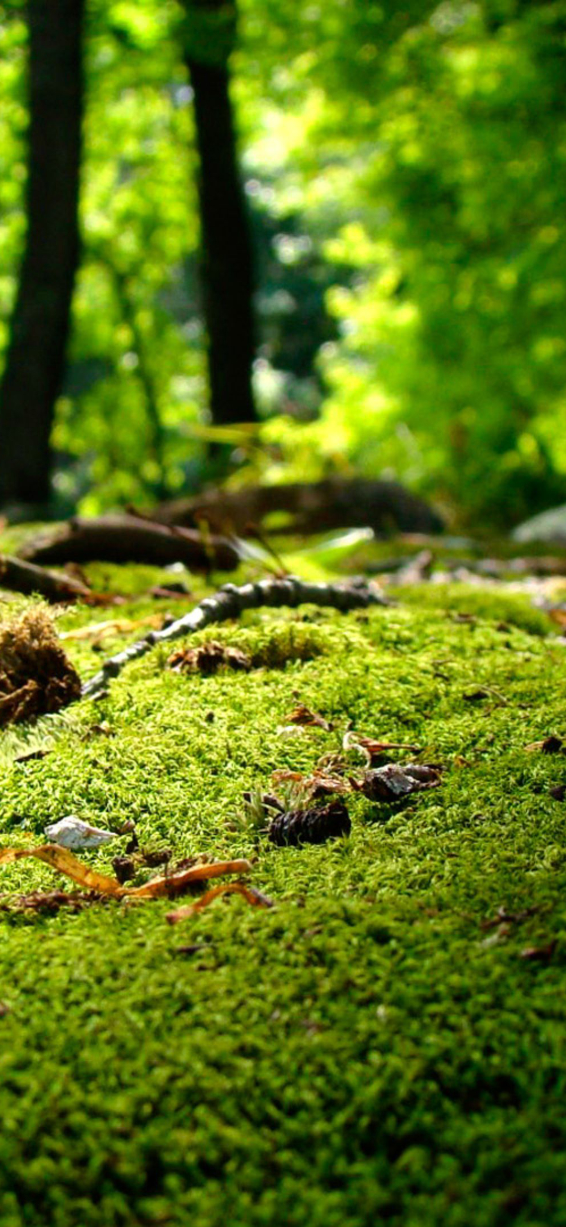 4k Spring iPhone Wallpapers - Wallpaper Cave