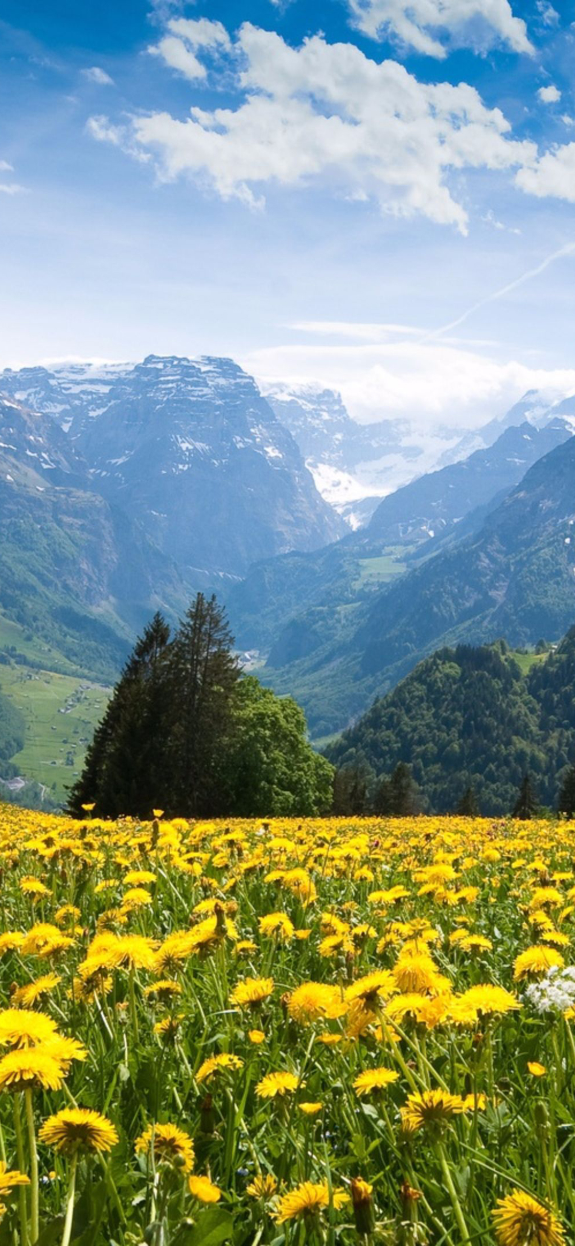 Springs 4k iPhone Wallpapers - Wallpaper Cave