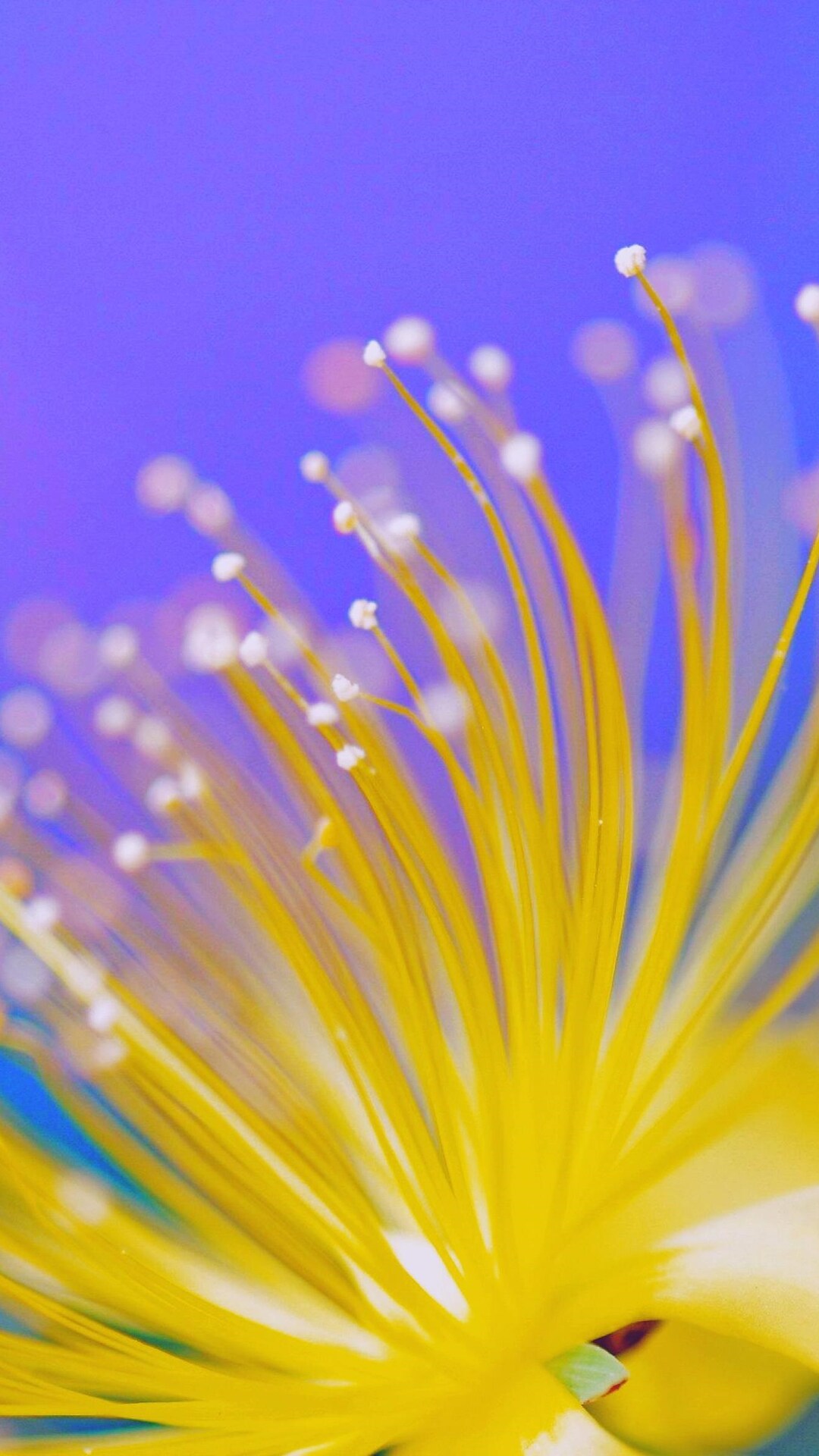 Springs 4k iPhone Wallpapers - Wallpaper Cave