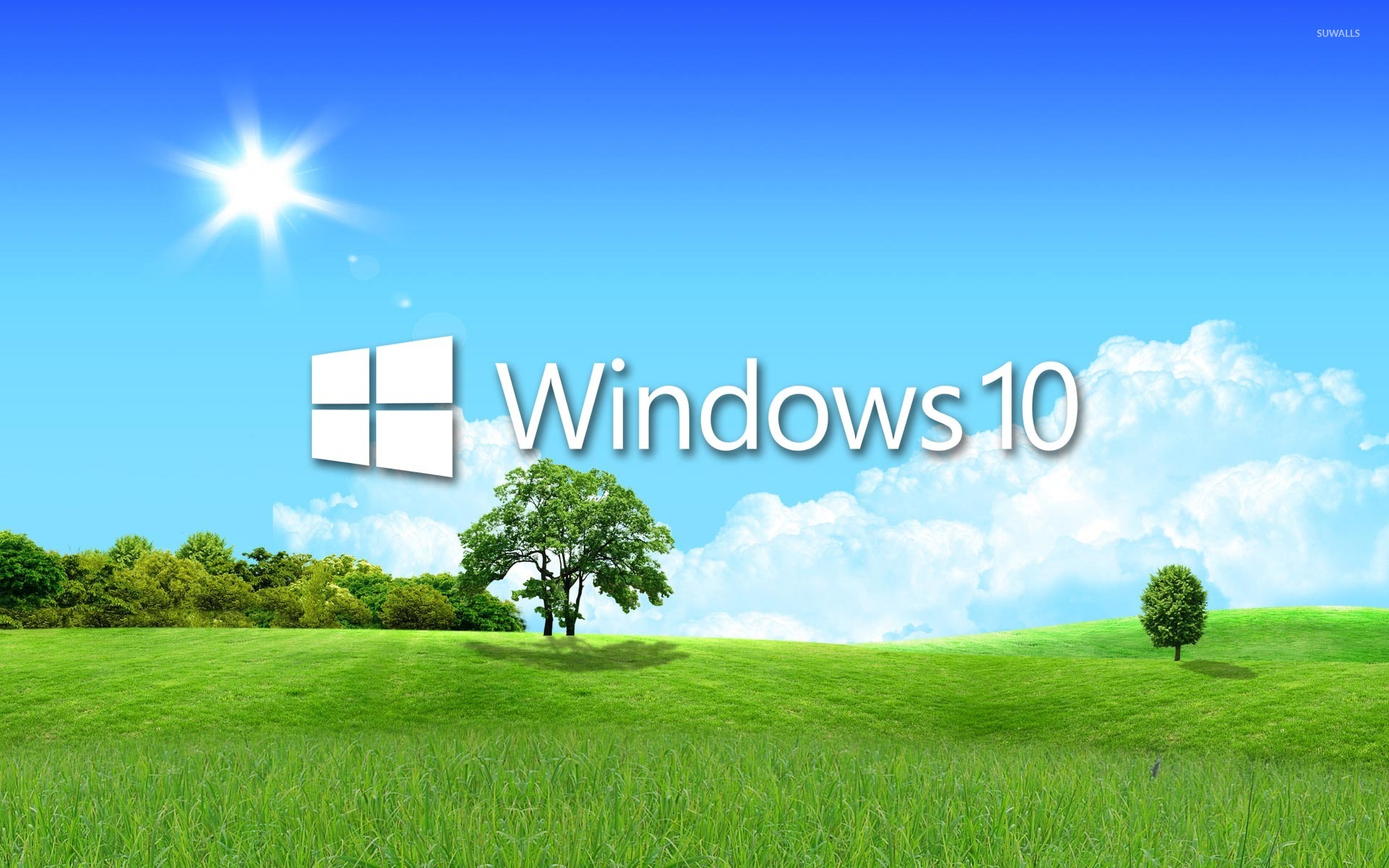 Windows XP Spring Wallpapers - Wallpaper Cave