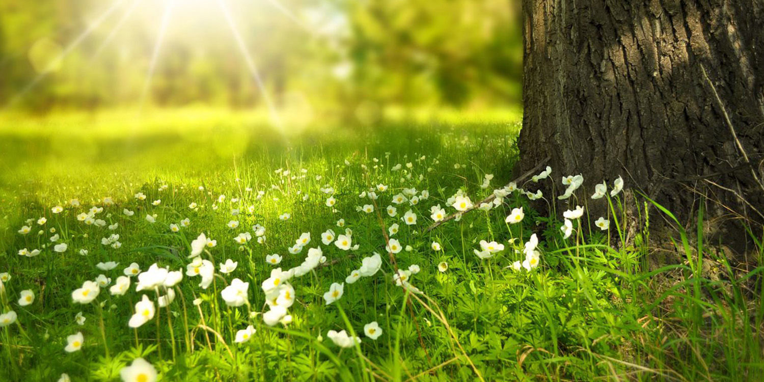 Spring Windows Wallpapers - Wallpaper Cave