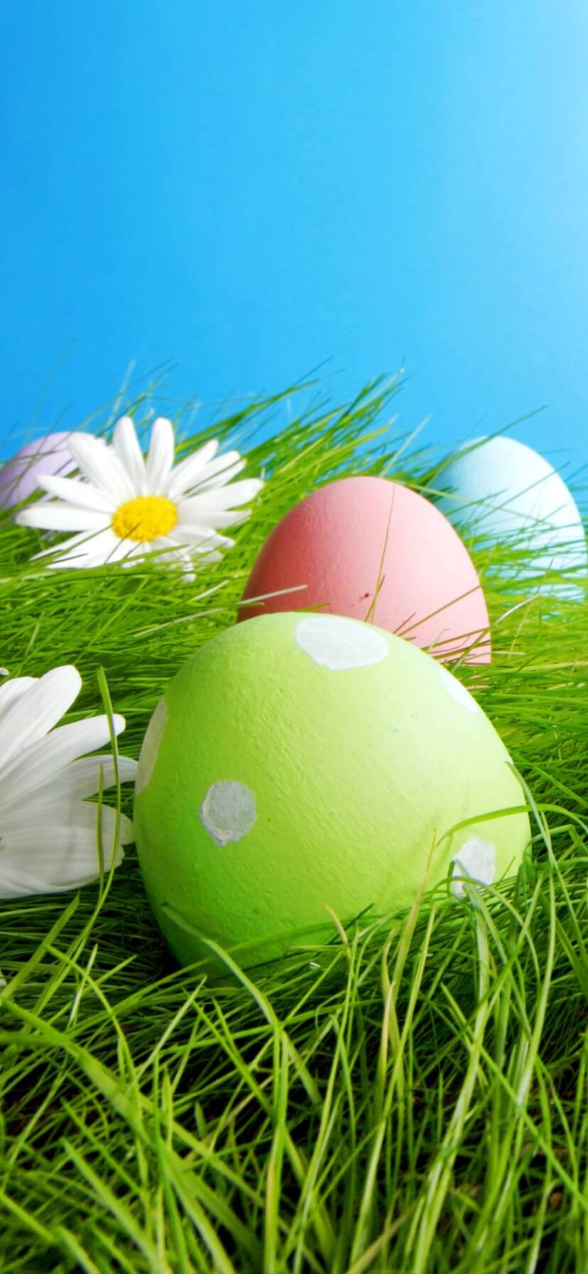 Easter Cool Wallpapers - Wallpaper Cave