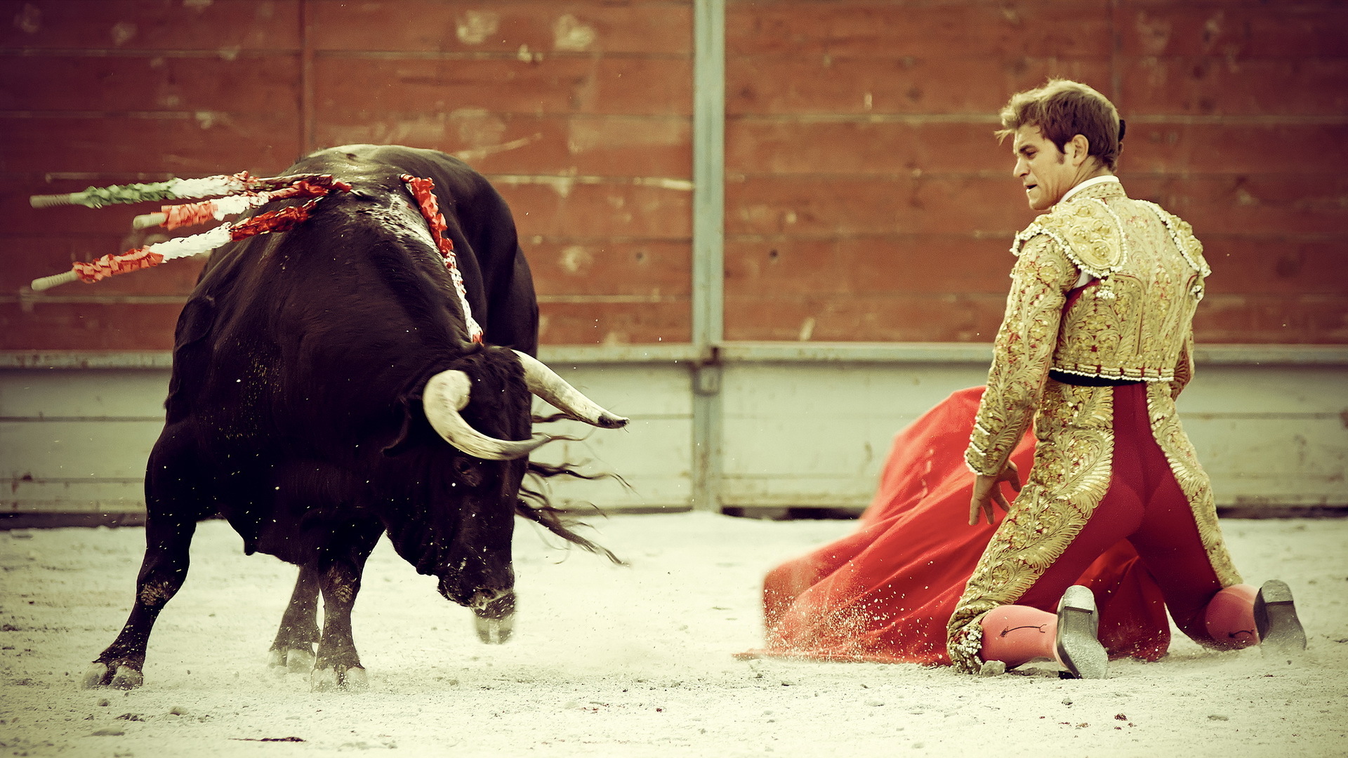 Bullfighter Wallpapers - Wallpaper Cave