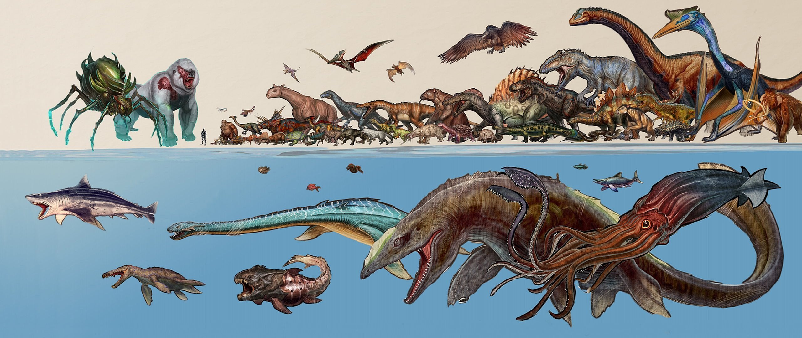 Comparison Wallpapers - Wallpaper Cave