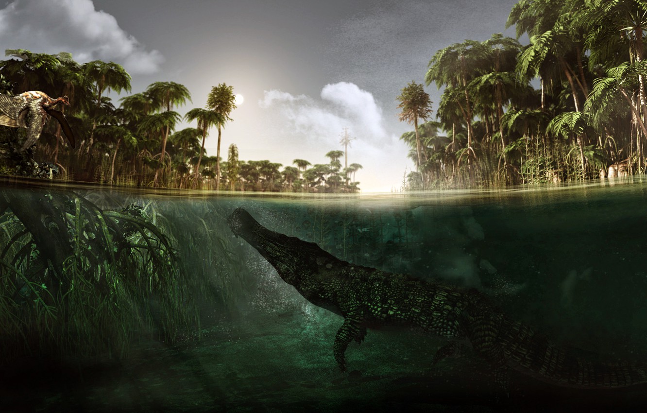 Sarcosuchus Wallpapers - Wallpaper Cave