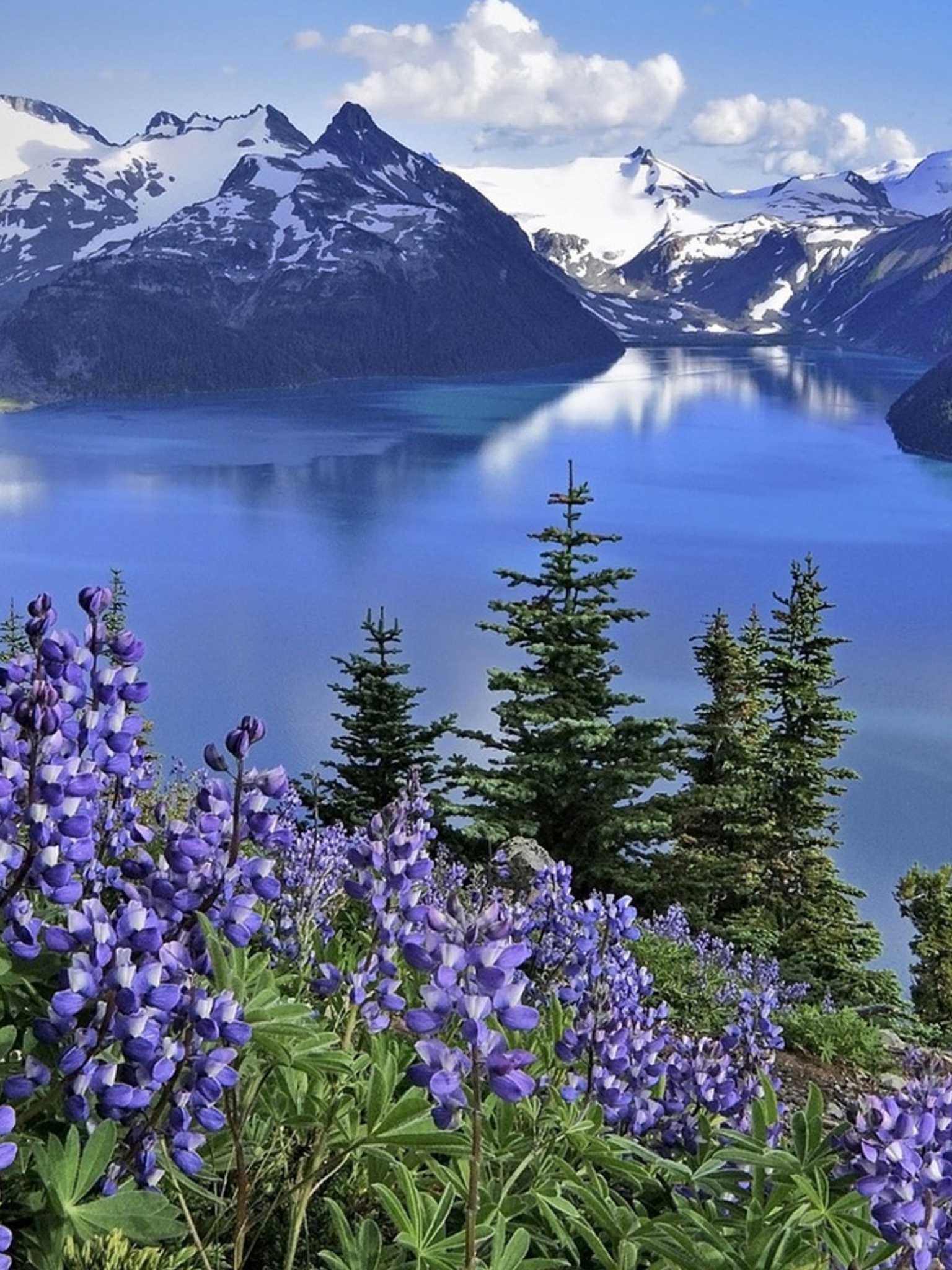 Spring Nature iPhone Wallpapers - Wallpaper Cave