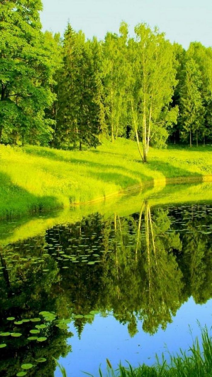 Spring Nature iPhone Wallpapers - Wallpaper Cave