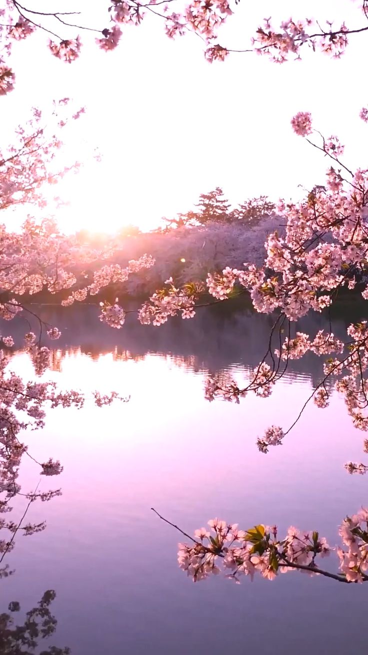 Spring Nature iPhone Wallpapers - Wallpaper Cave