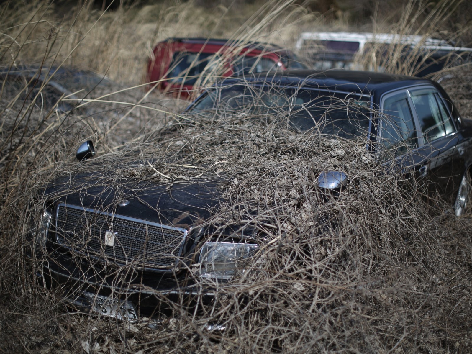 Fukushima Wallpapers - Wallpaper Cave