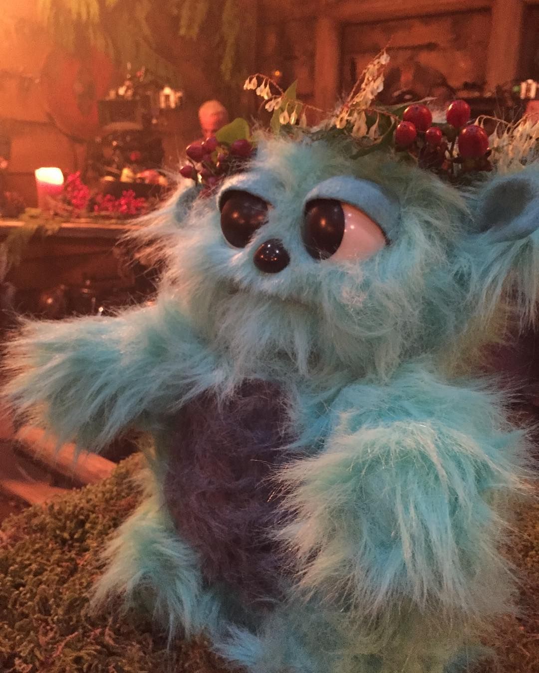 Beebo Wallpapers - Wallpaper Cave