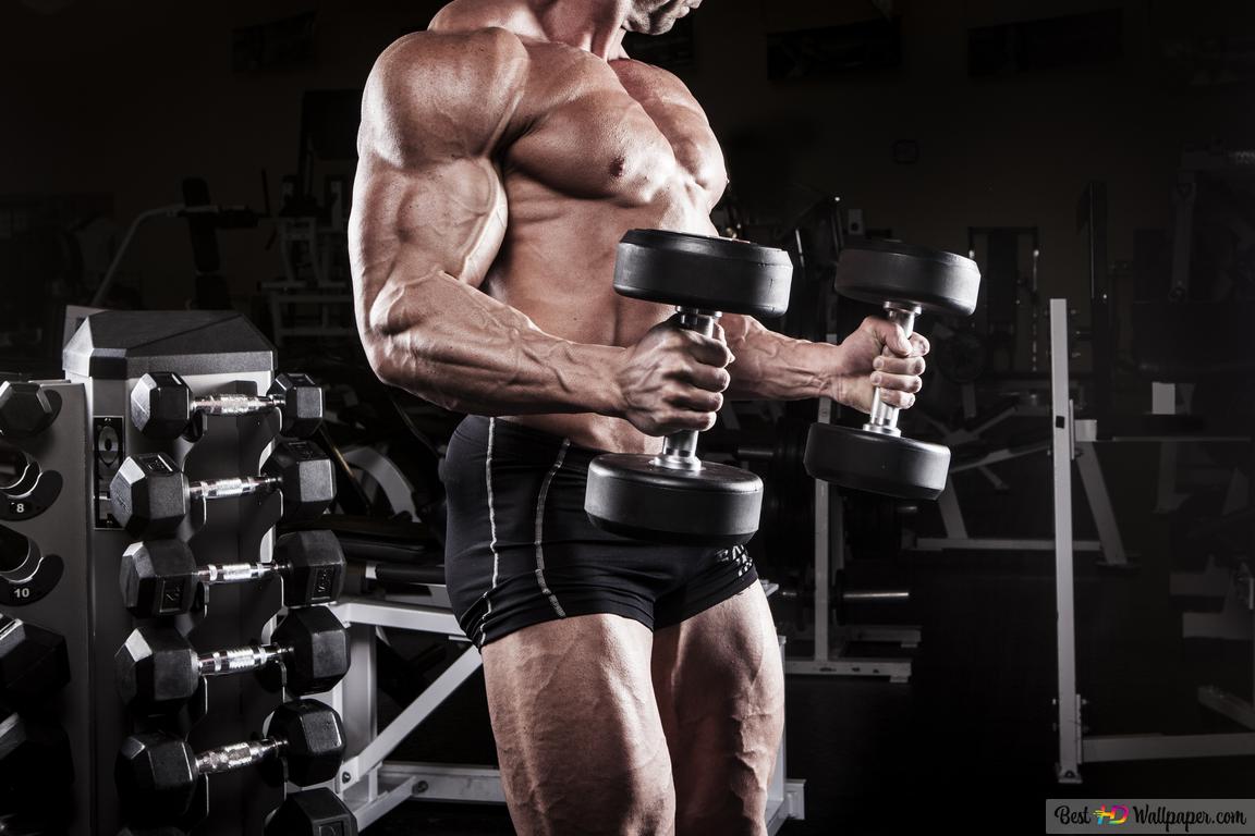 Gym Work Out Wallpapers - Wallpaper Cave