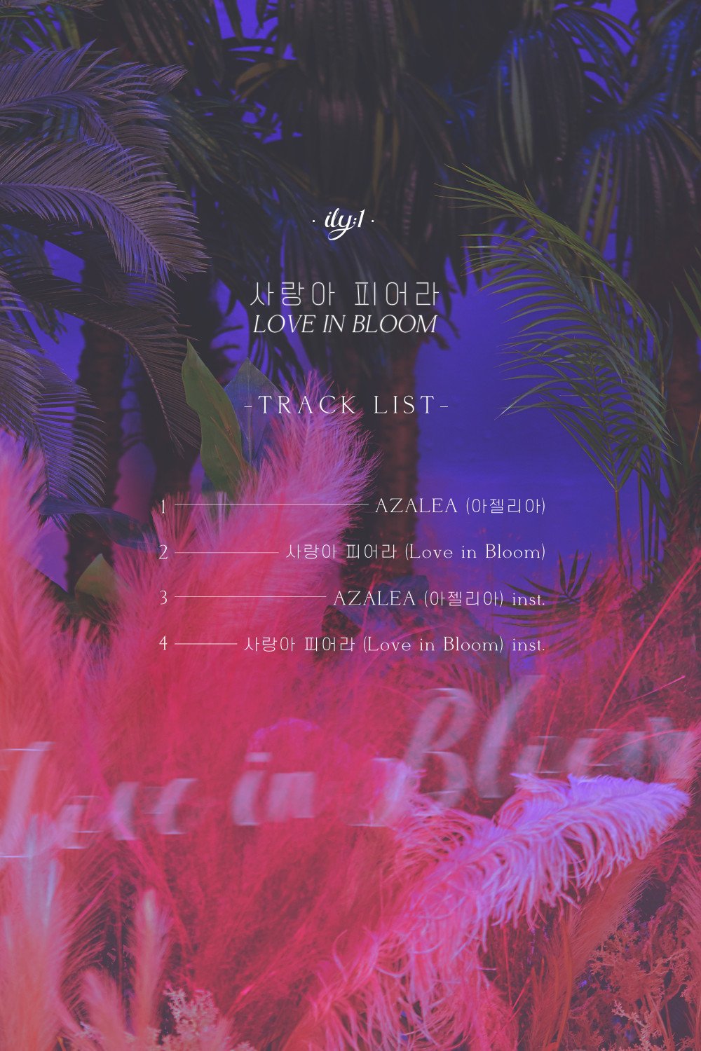 Ily 1 Love In Bloom Wallpapers - Wallpaper Cave