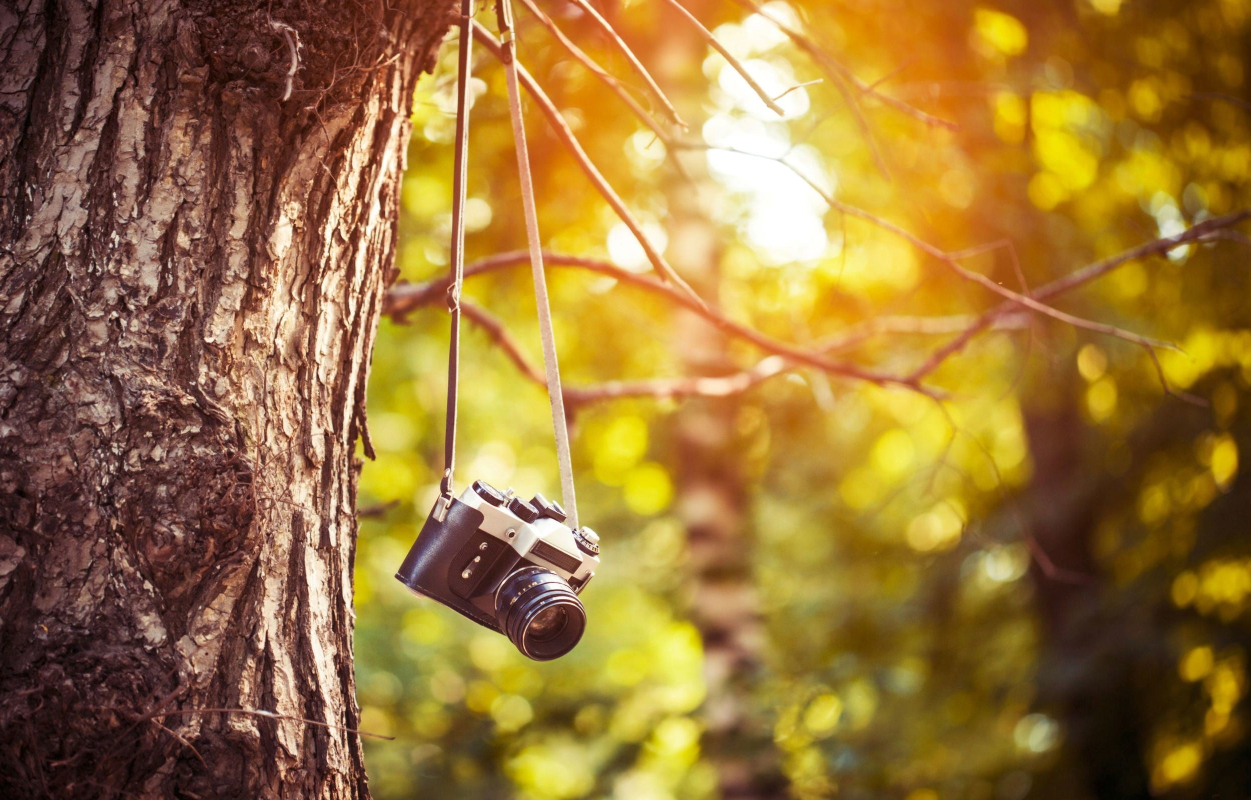 Photoshot Wallpapers - Wallpaper Cave