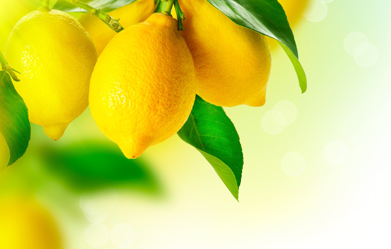 Lemon Yellow Wallpapers - Wallpaper Cave