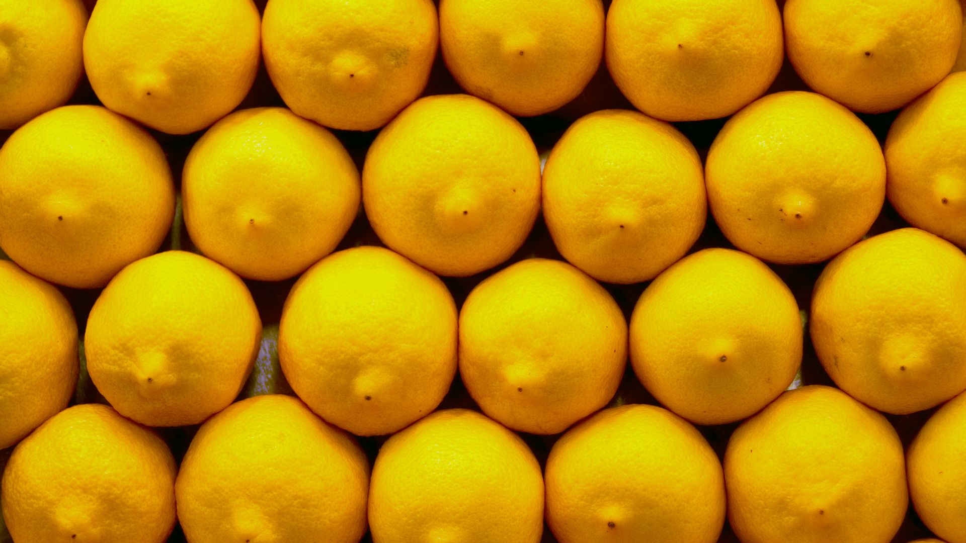 Lemon Yellow Wallpapers - Wallpaper Cave