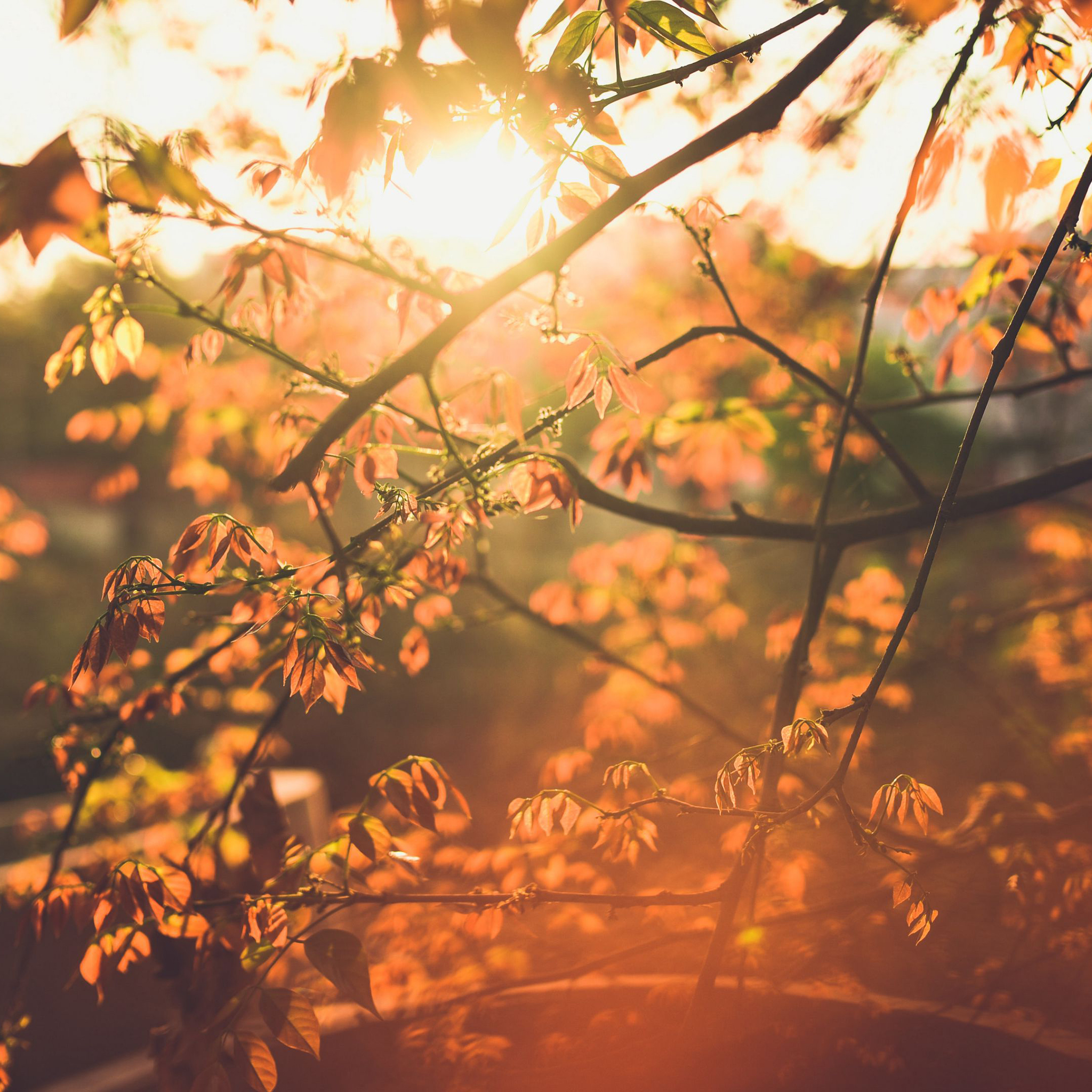 Aesthetic Spring 4k Wallpapers - Wallpaper Cave