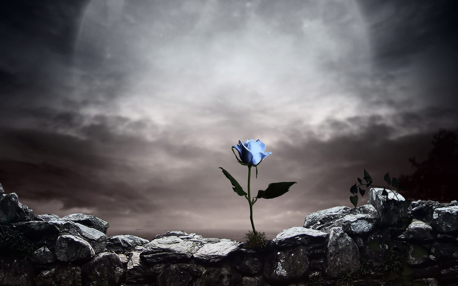 Gothique Wallpapers - Wallpaper Cave
