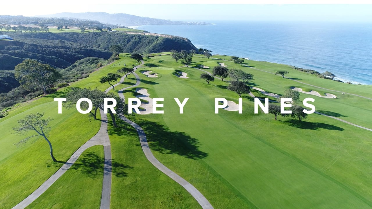 Torrey Pines Wallpapers - Wallpaper Cave