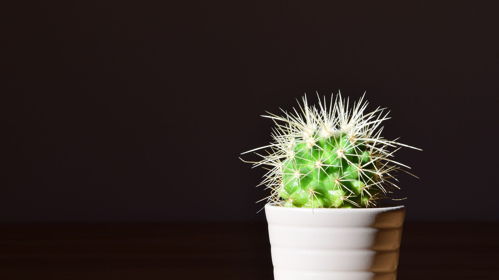 Flowerpot Wallpapers - Wallpaper Cave