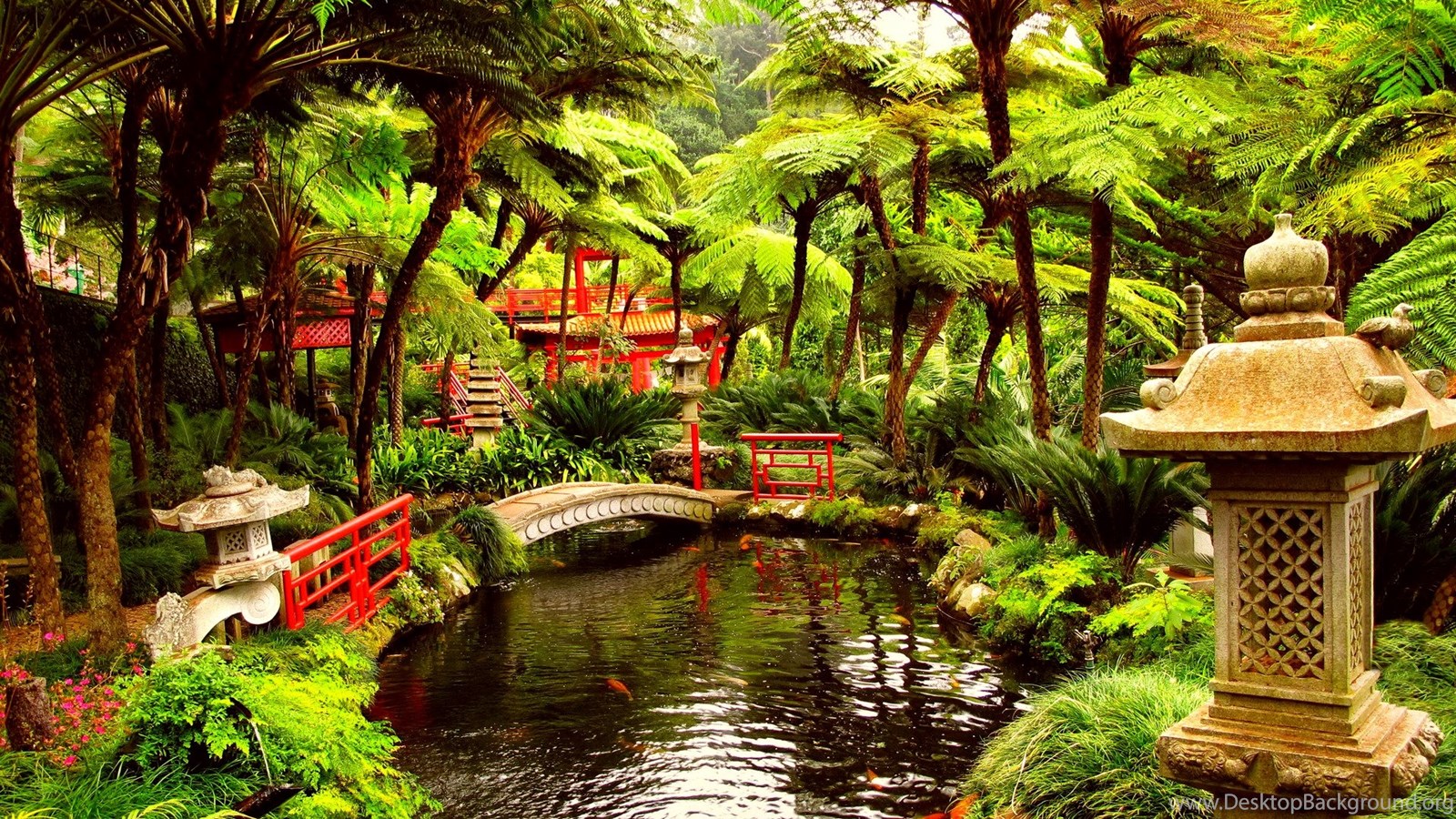 Japanese Spring Wallpapers - Wallpaper Cave