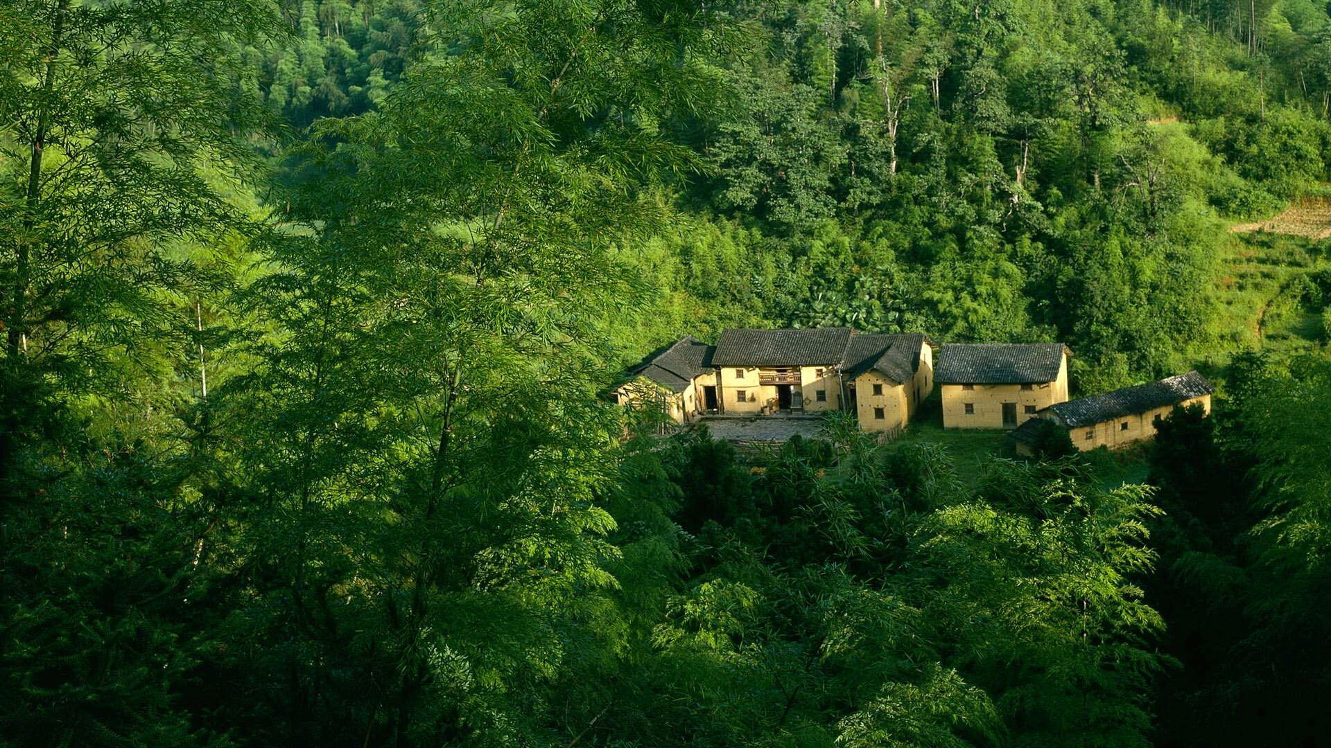 House In Forest Wallpapers - Wallpaper Cave