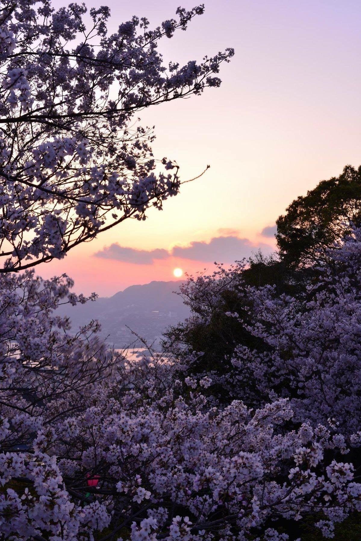 Spring Sunrise Aesthetic Wallpapers - Wallpaper Cave