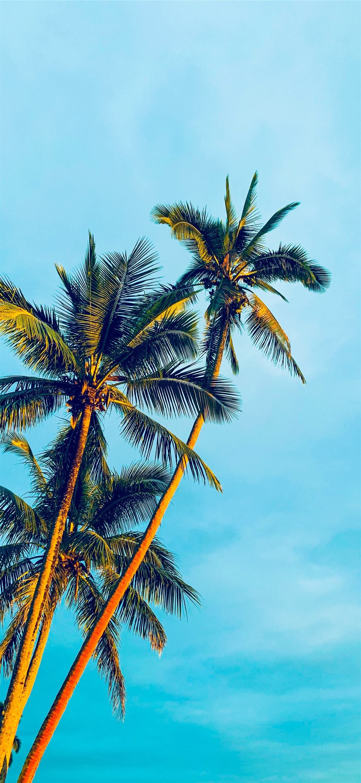 Summer Day Time Wallpapers - Wallpaper Cave