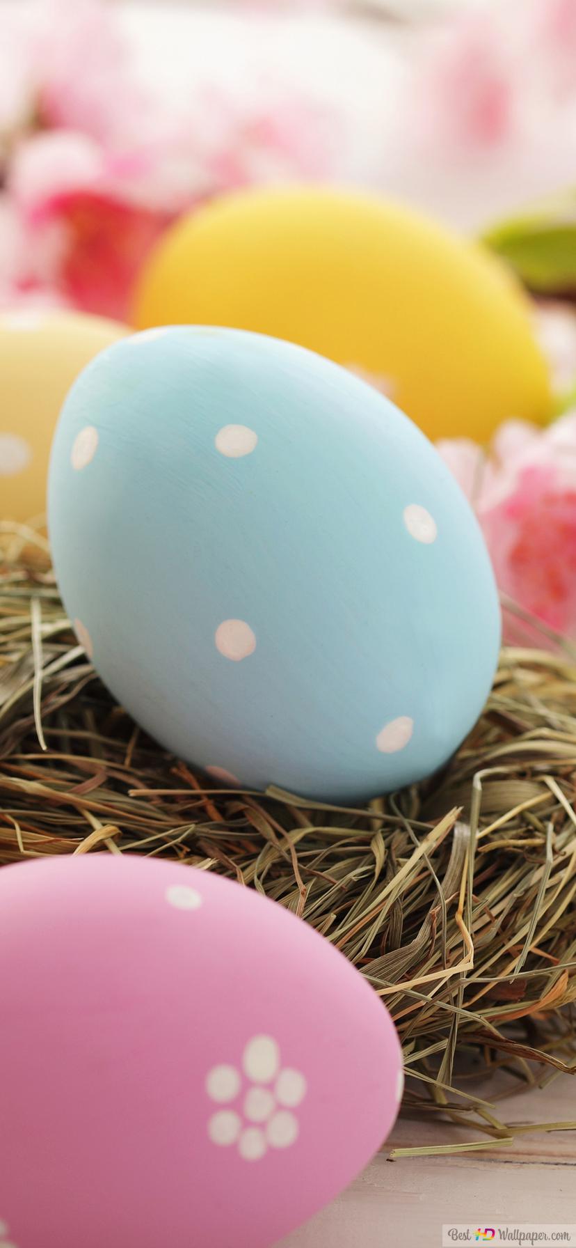 Easter Pink Blue Wallpapers - Wallpaper Cave