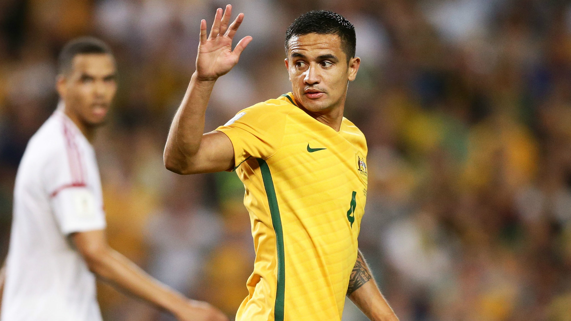 Tim Cahill Wallpapers - Wallpaper Cave
