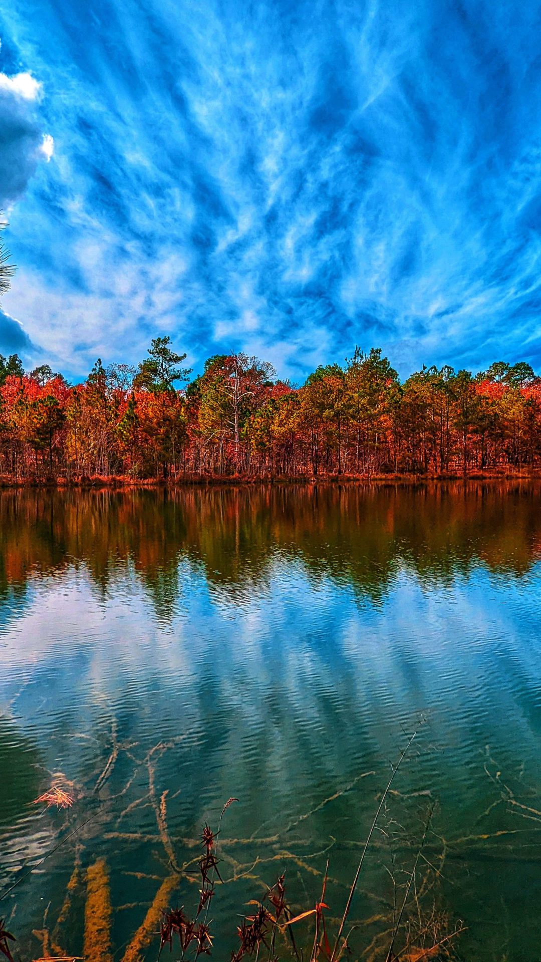 Fall 2022 Wallpapers - Wallpaper Cave