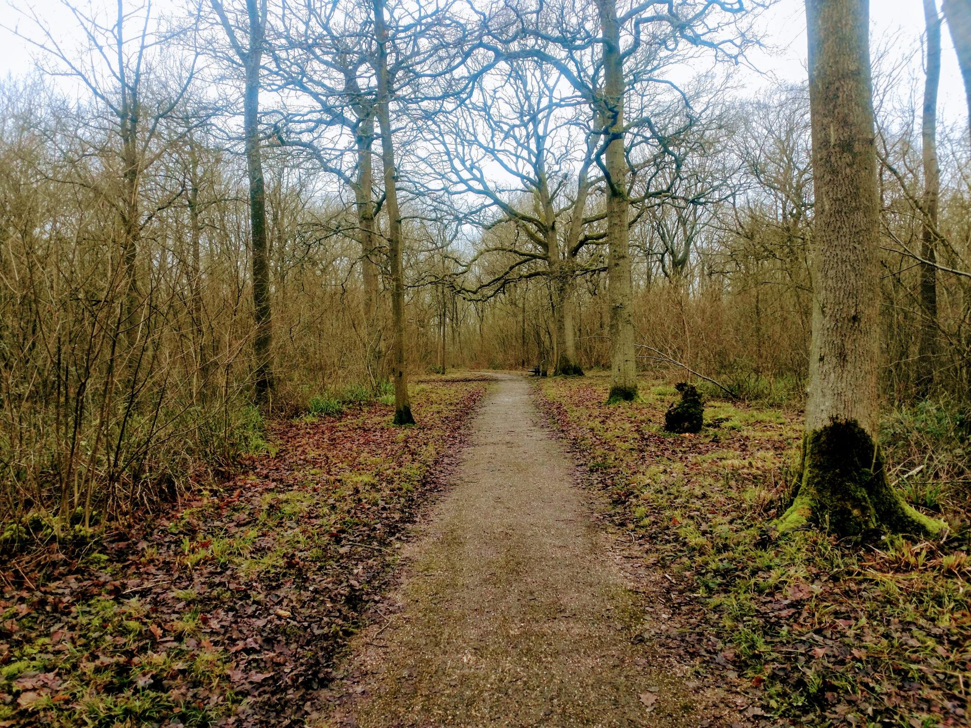 Fall 2022 Wallpapers - Wallpaper Cave