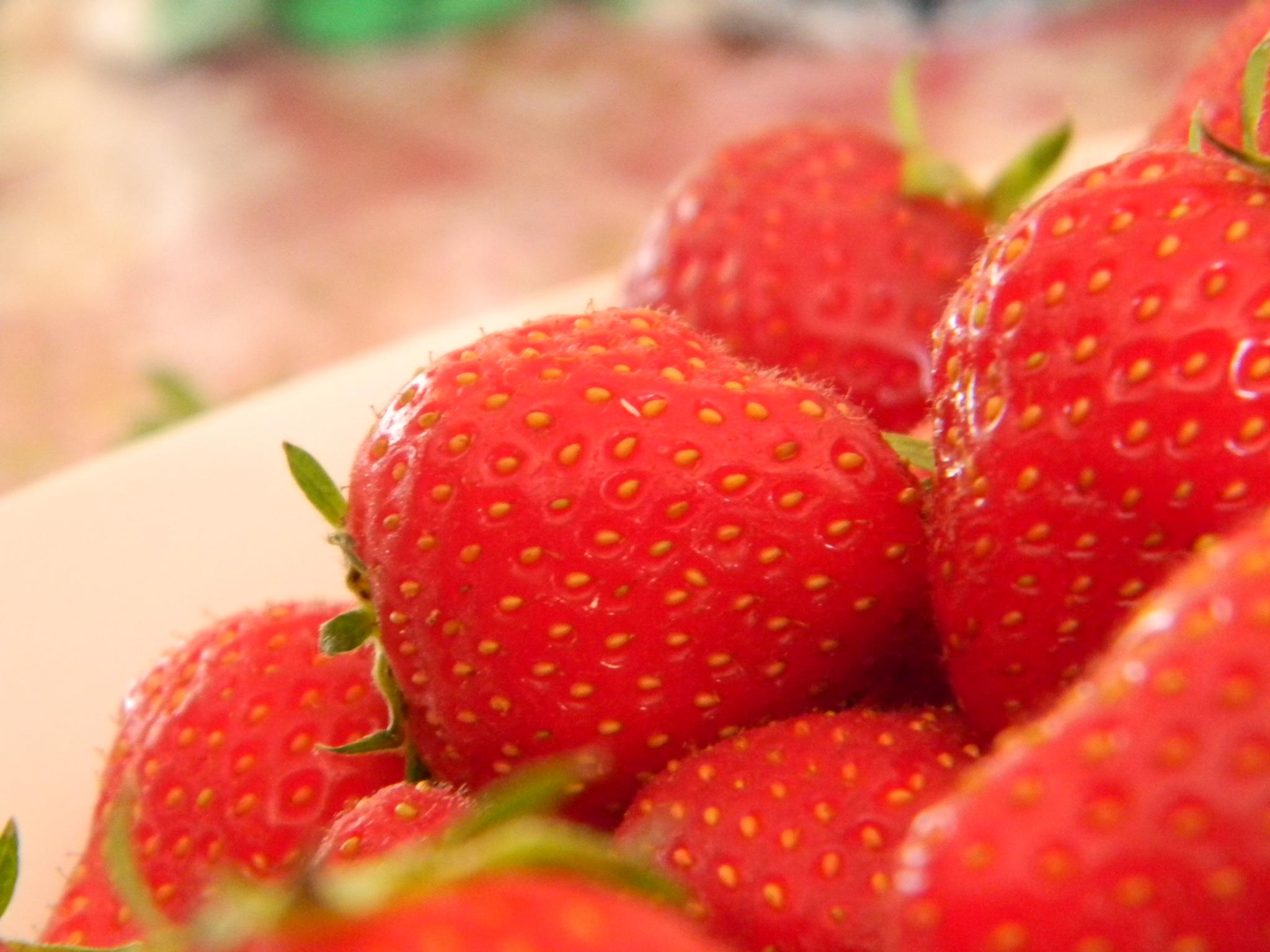 Spring Strawberry Wallpapers - Wallpaper Cave