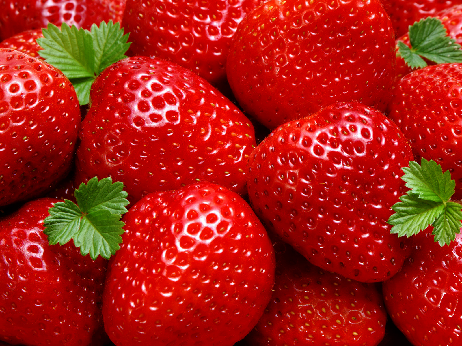 Spring Strawberry Wallpapers - Wallpaper Cave